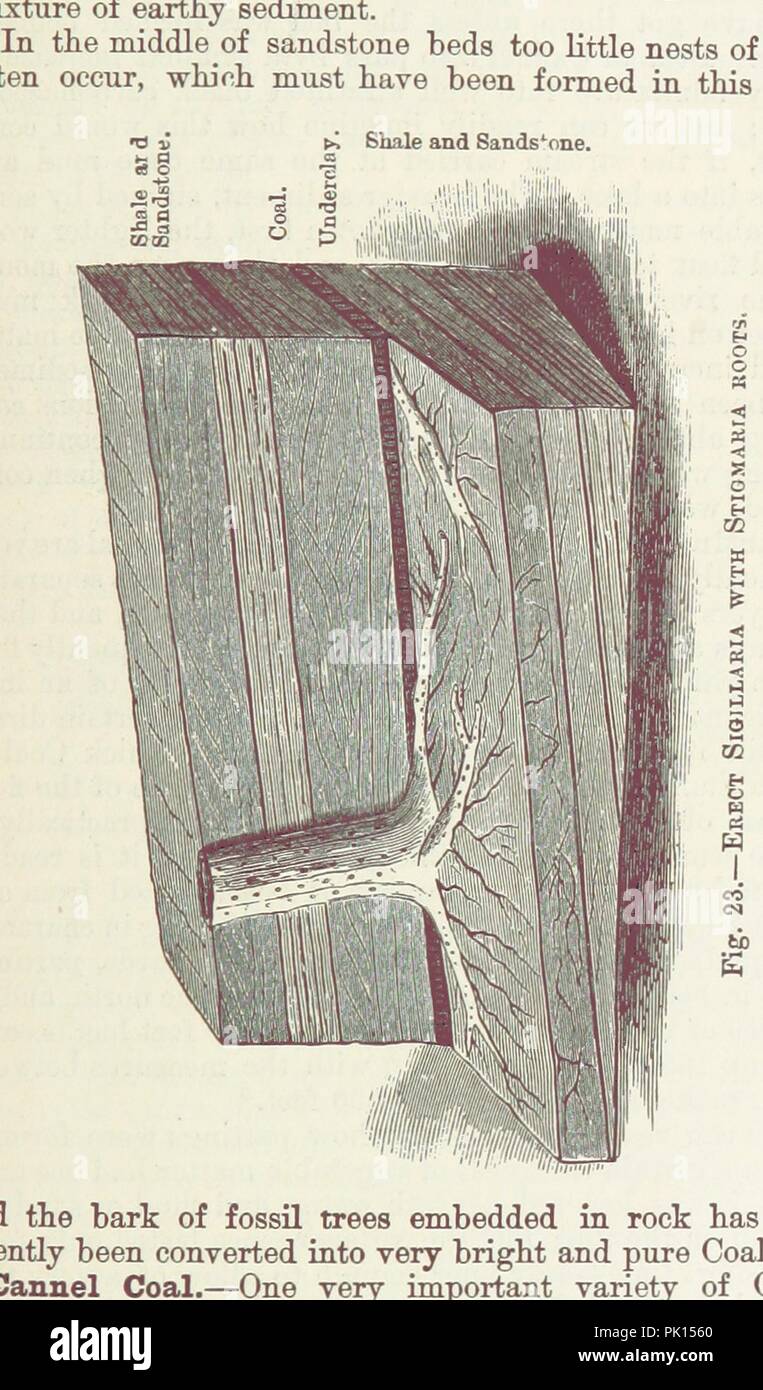 Image from page 191 of 'Geology for students and general readers ...
