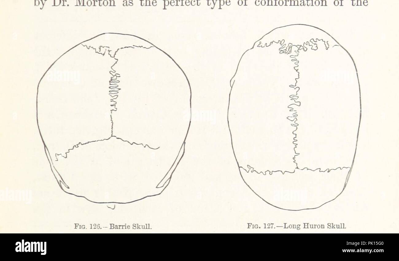 Image from page 199 of '[Prehistoric Man researches into the origin of ...
