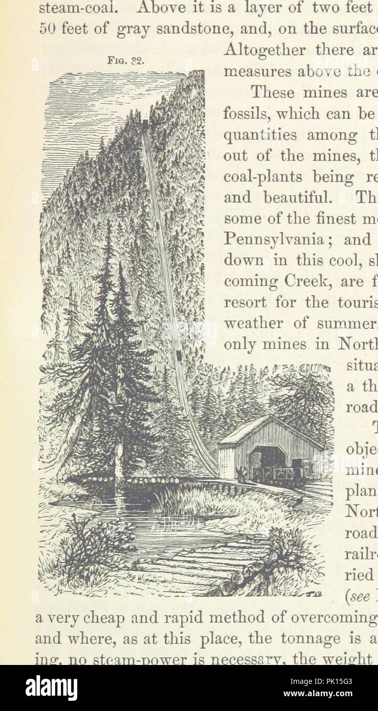 Image from page 199 of '[The Coal-Regions of America; their topography ...
