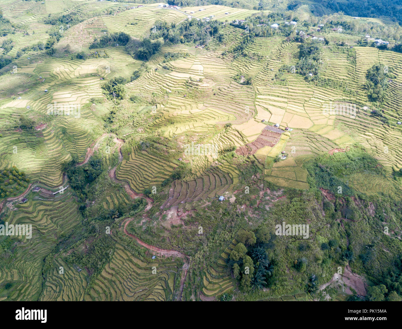 Unbelievable view of the Golo Cador Rice Terraces in Ruteng on Flores ...
