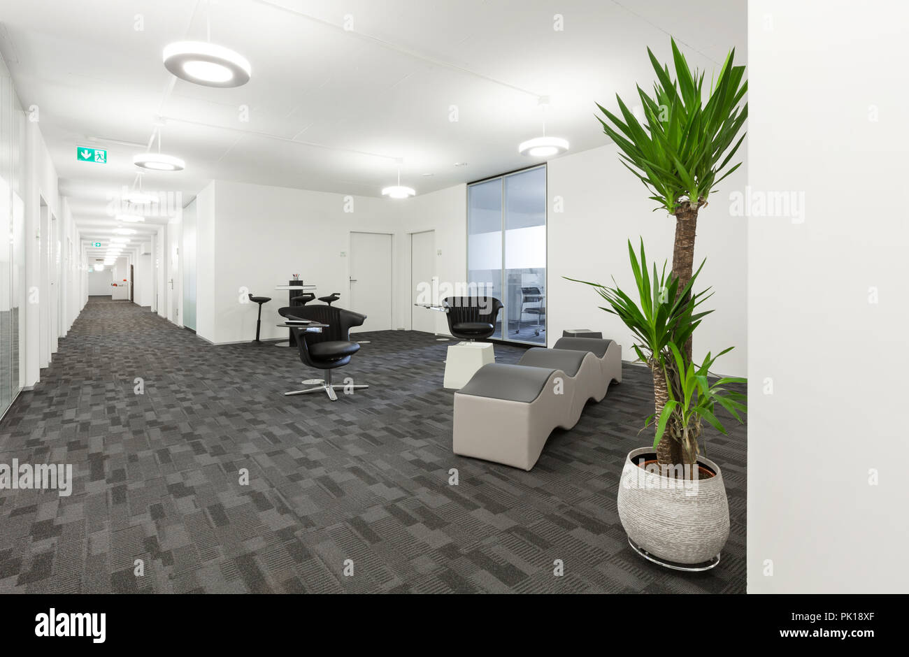 Interior, empty hall in modern building Stock Photo - Alamy