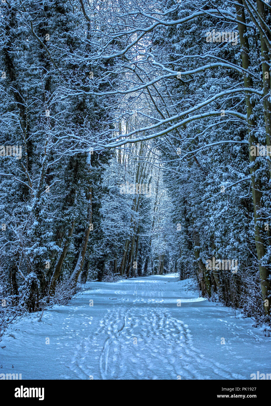 Sudbury suffolk winter hi-res stock photography and images - Alamy