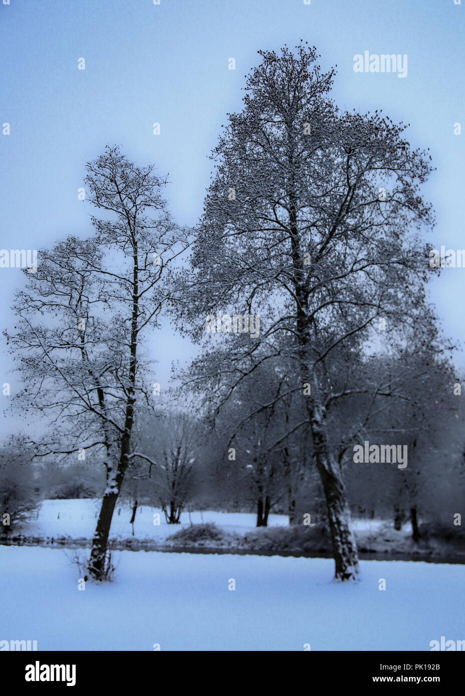 A snowy winter scene Stock Photo - Alamy