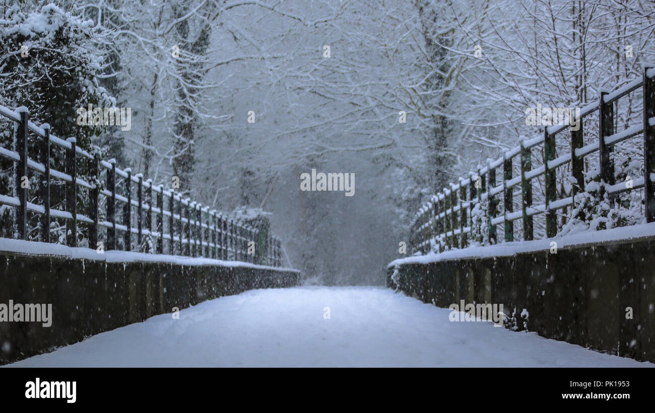 A snowy winter scene Stock Photo - Alamy