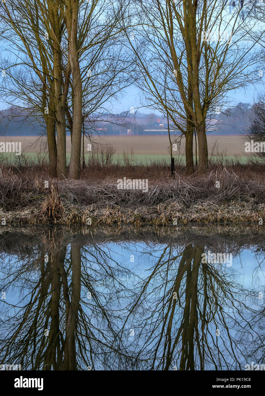 Reflections on the river Stock Photo - Alamy
