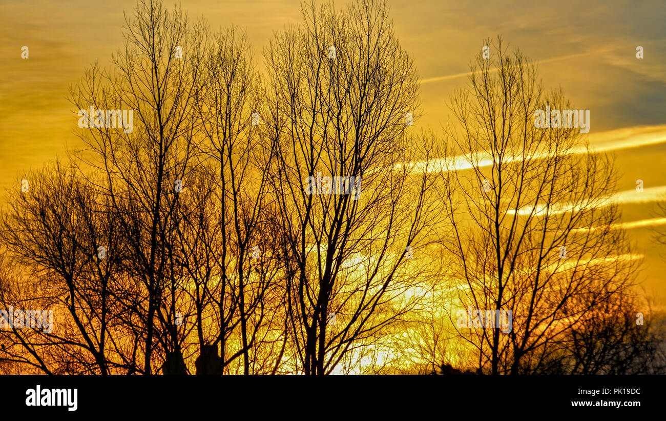 Sun Rise at The River Stock Photo - Alamy