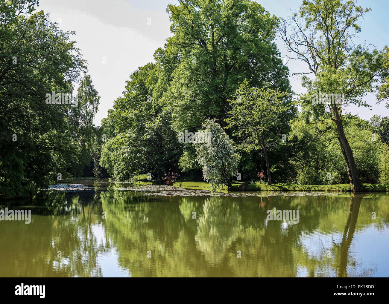 Reflections on the Lake Stock Photo - Alamy