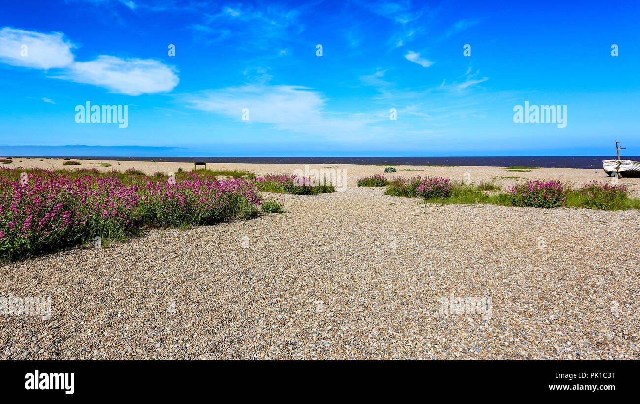 A Beach View Stock Photo - Alamy