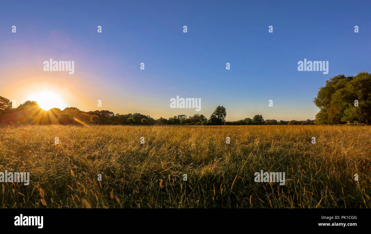 Sunset At The Meadow Stock Photo - Alamy