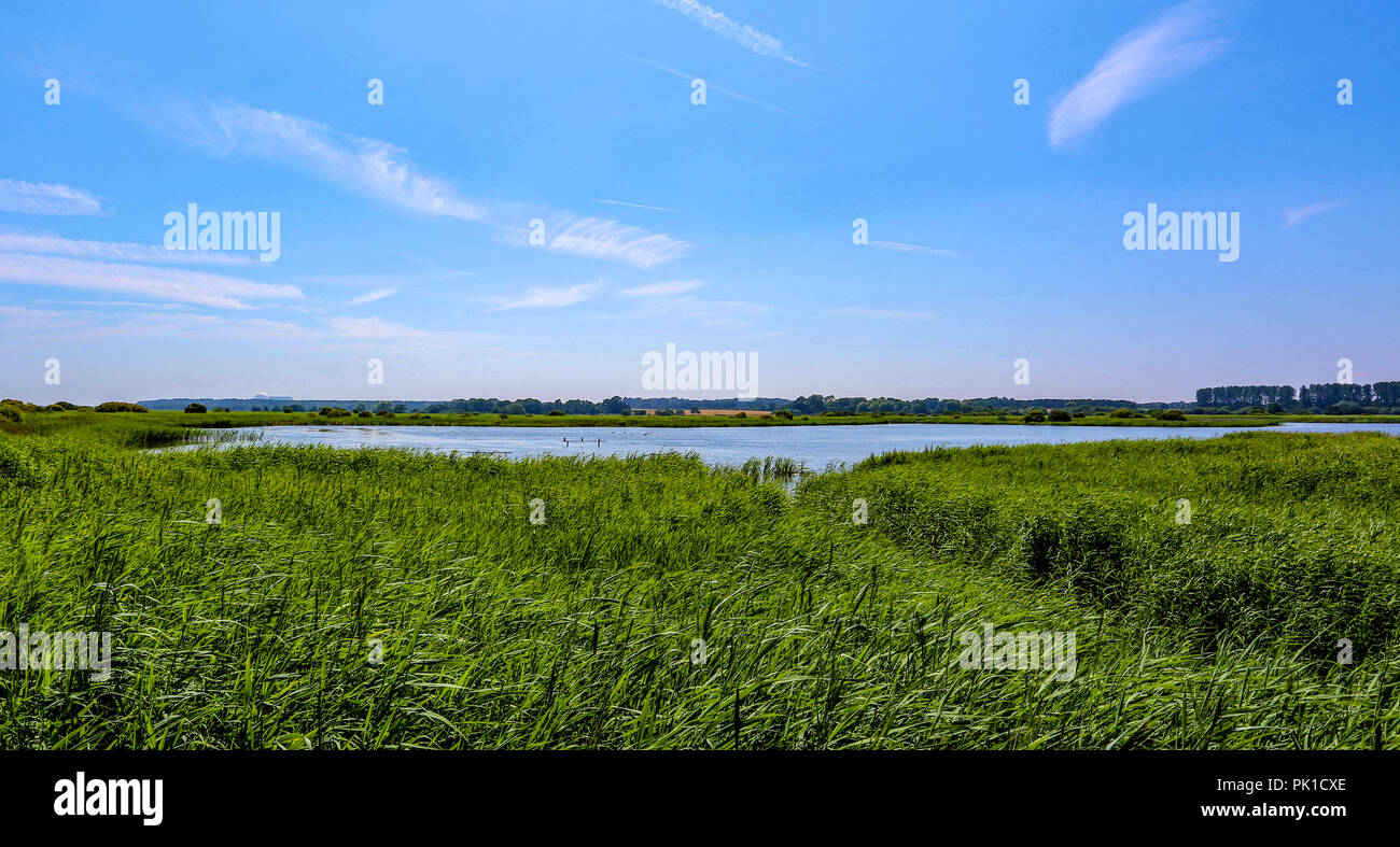 Minsmere River High Resolution Stock Photography and Images - Alamy