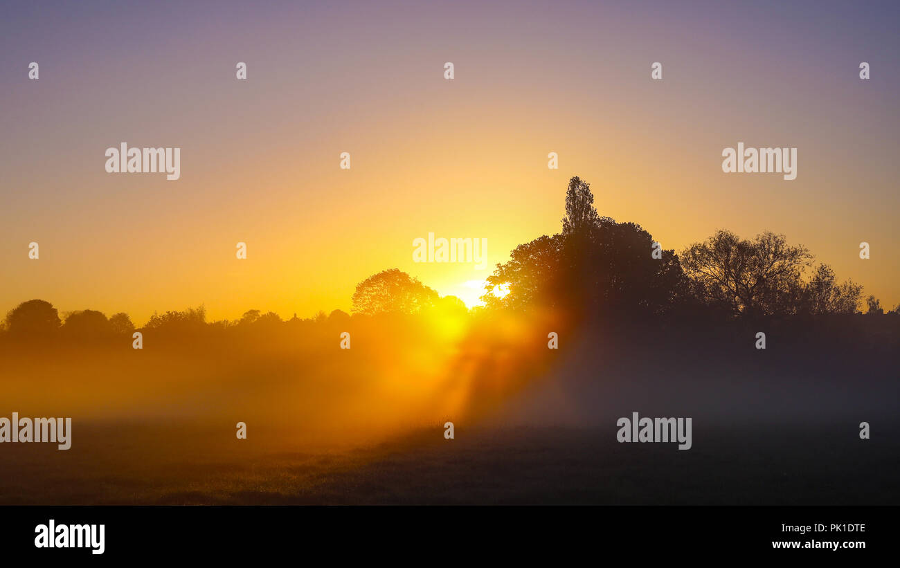 Sun Rising above the Trees Stock Photo - Alamy