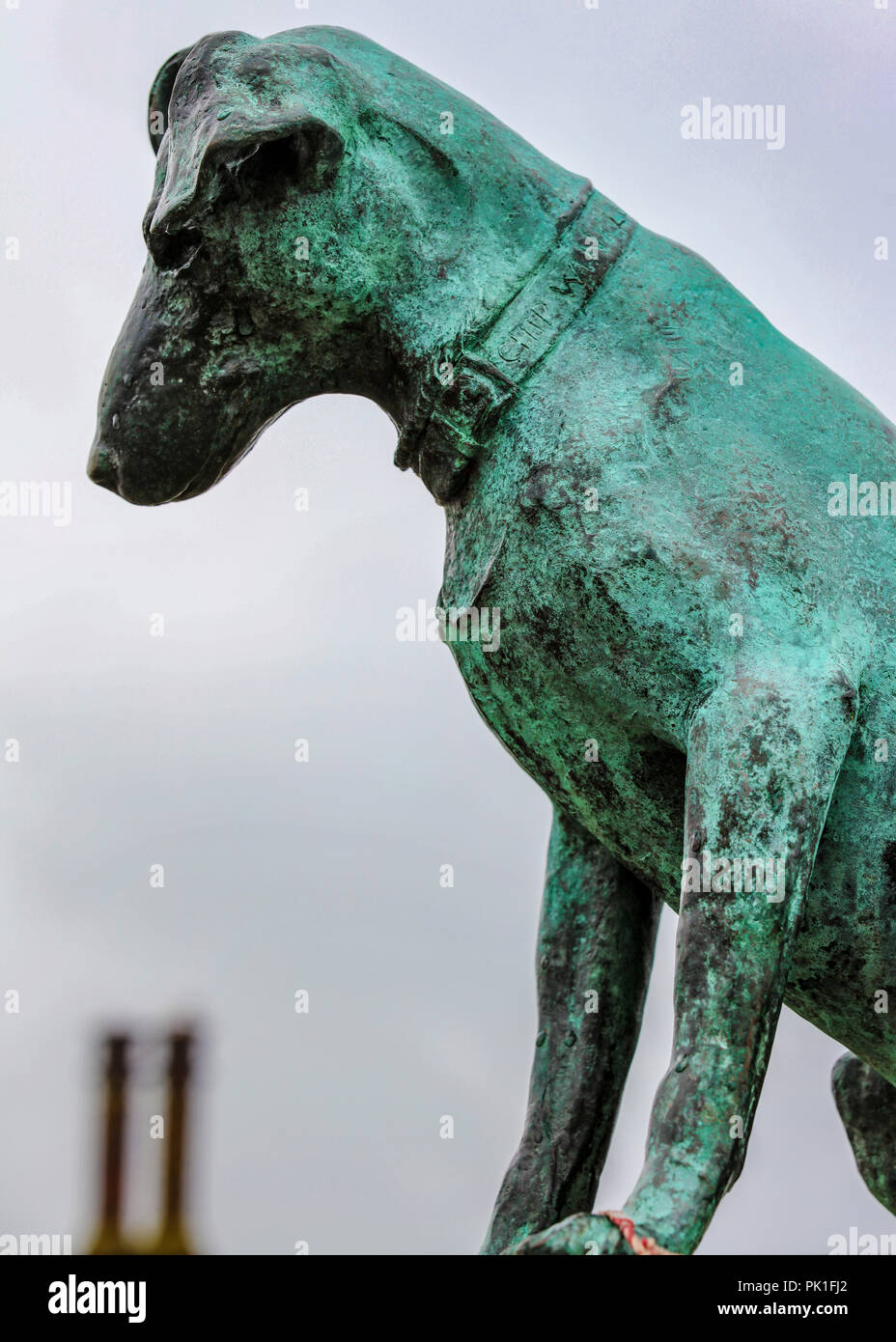 Bronze dog hi-res stock photography and images - Alamy