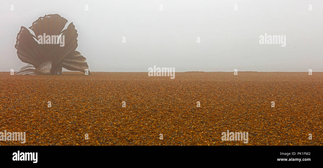 Shell In The Coastal Mist Stock Photo - Alamy