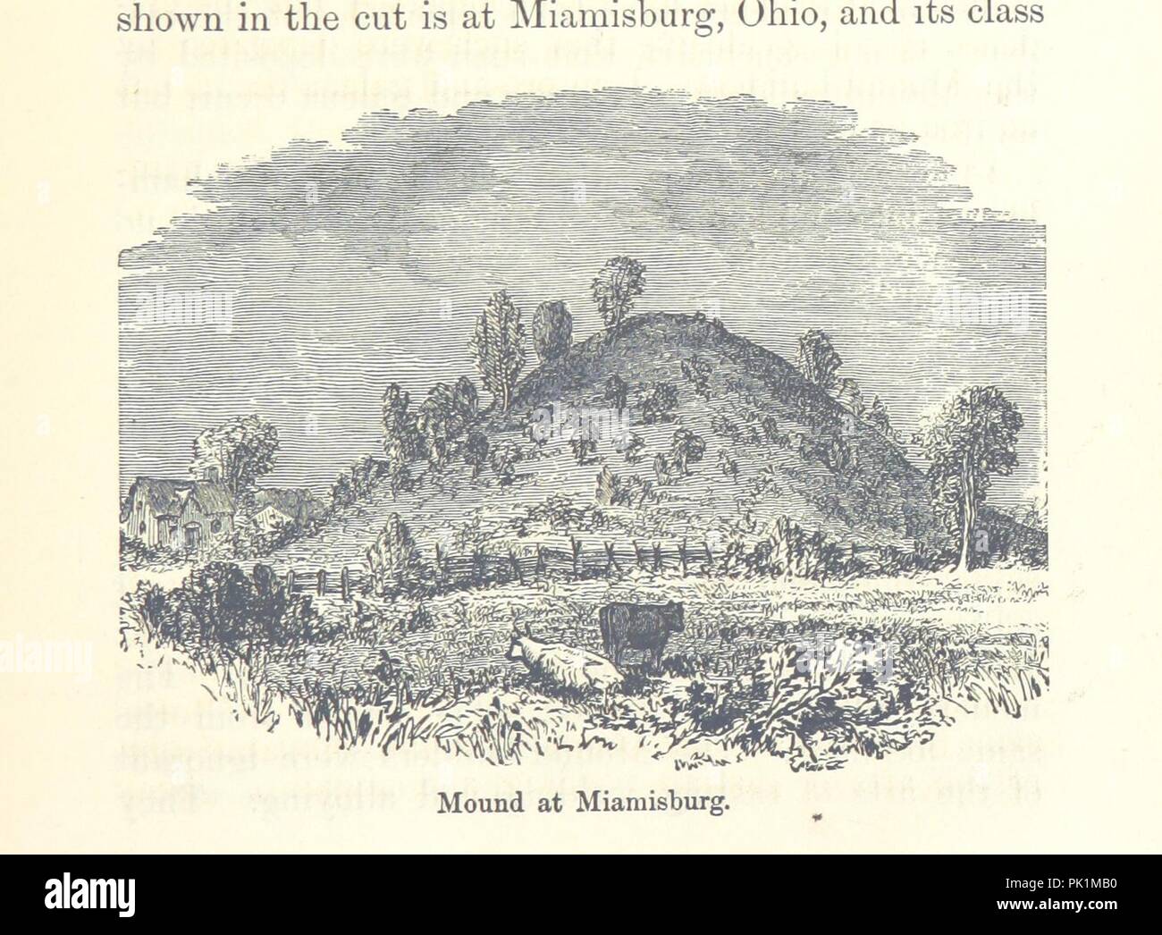 Image from page 795 of 'The Native Races of the Pacific States of North ...