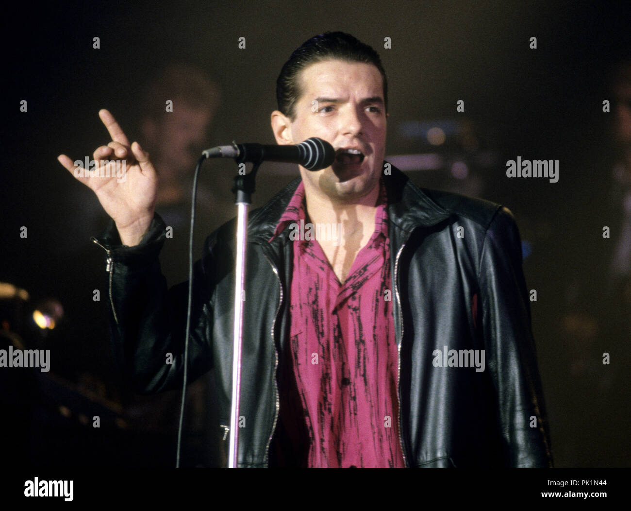 Falco on 09.11.1985 in Bavaria - Germany. | usage worldwide Stock Photo ...