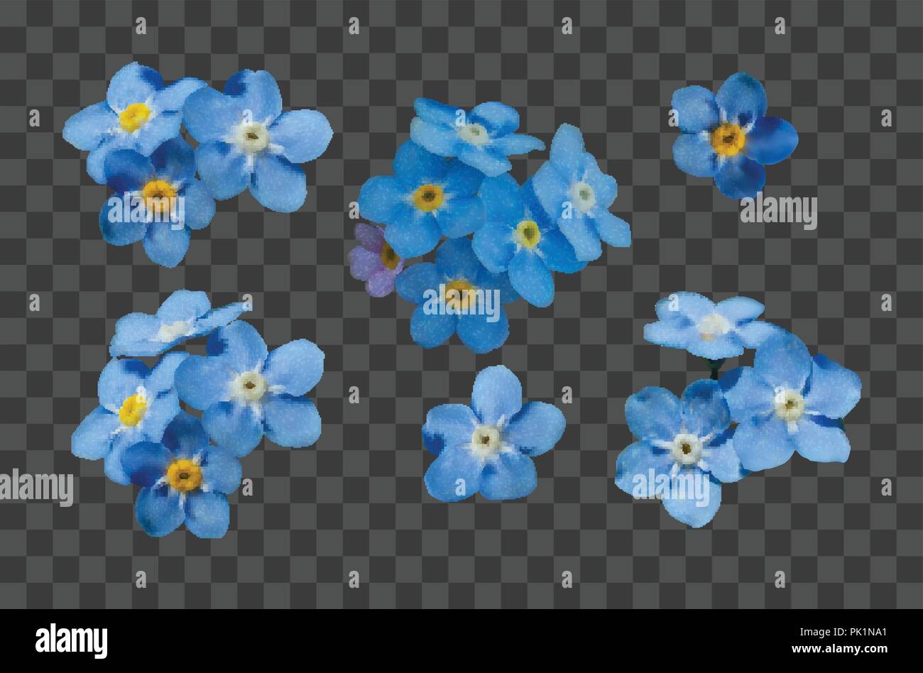 Blue forget me not spring flowers. Decorative elements vector set Stock ...