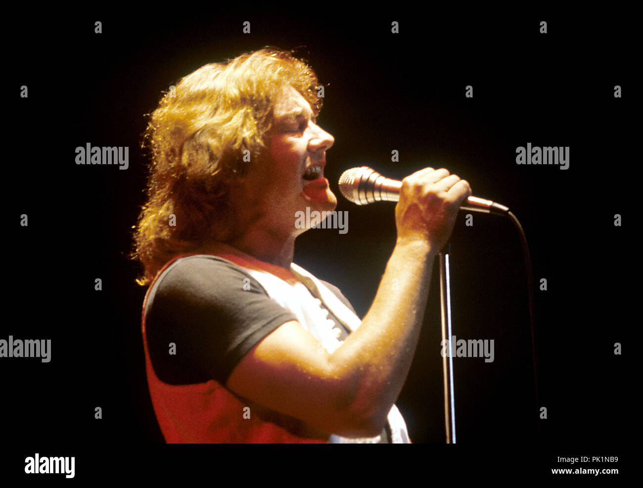 Wolfgang Ambros in October 1981. | usage worldwide Stock Photo - Alamy
