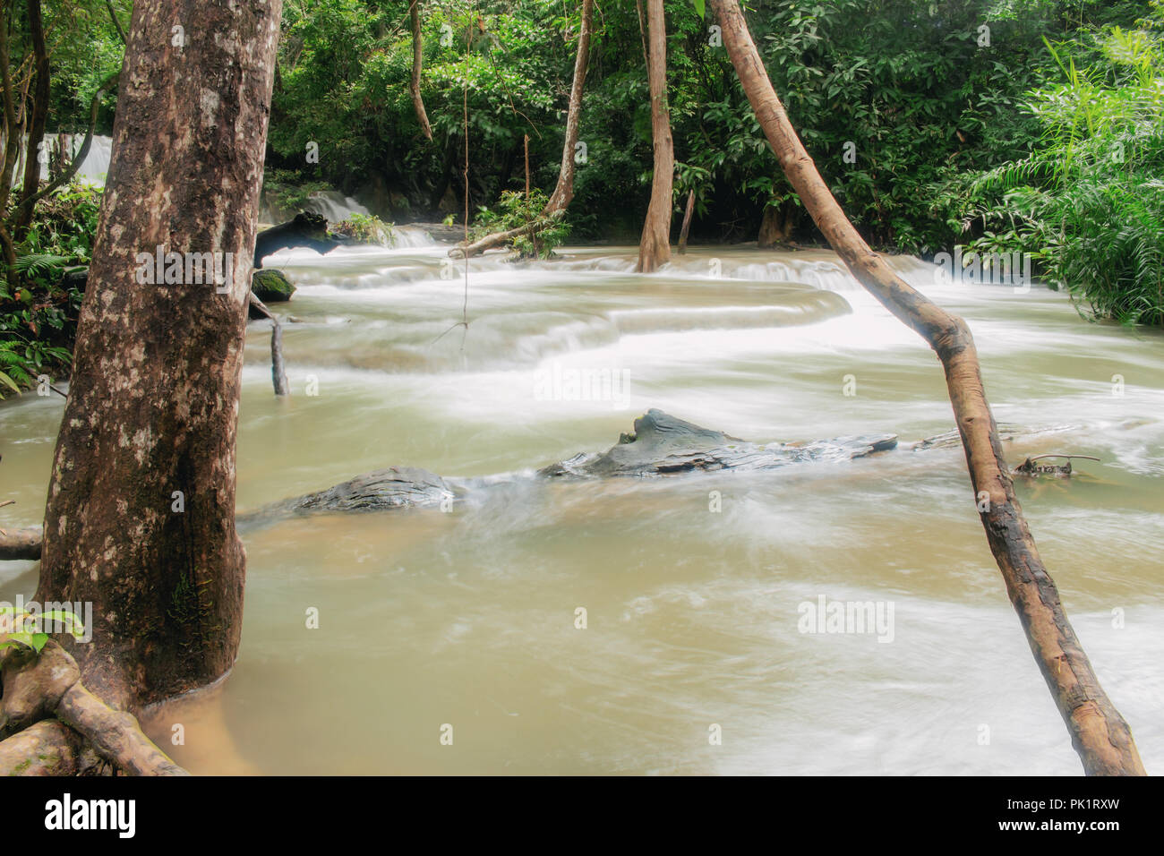 Waterfall and tree in the rainy season in forest Stock Photo - Alamy