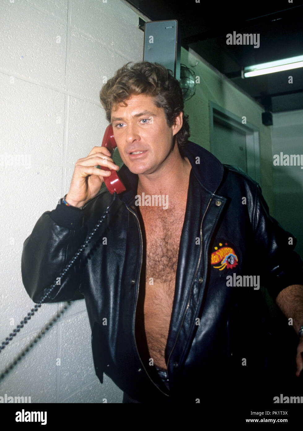 David Hasselhoff on 19.12.1991 in München / Munich. | usage worldwide ...