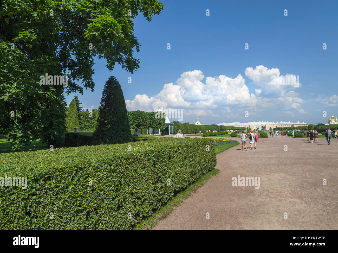 Shaved bush hi-res stock photography and images - Alamy