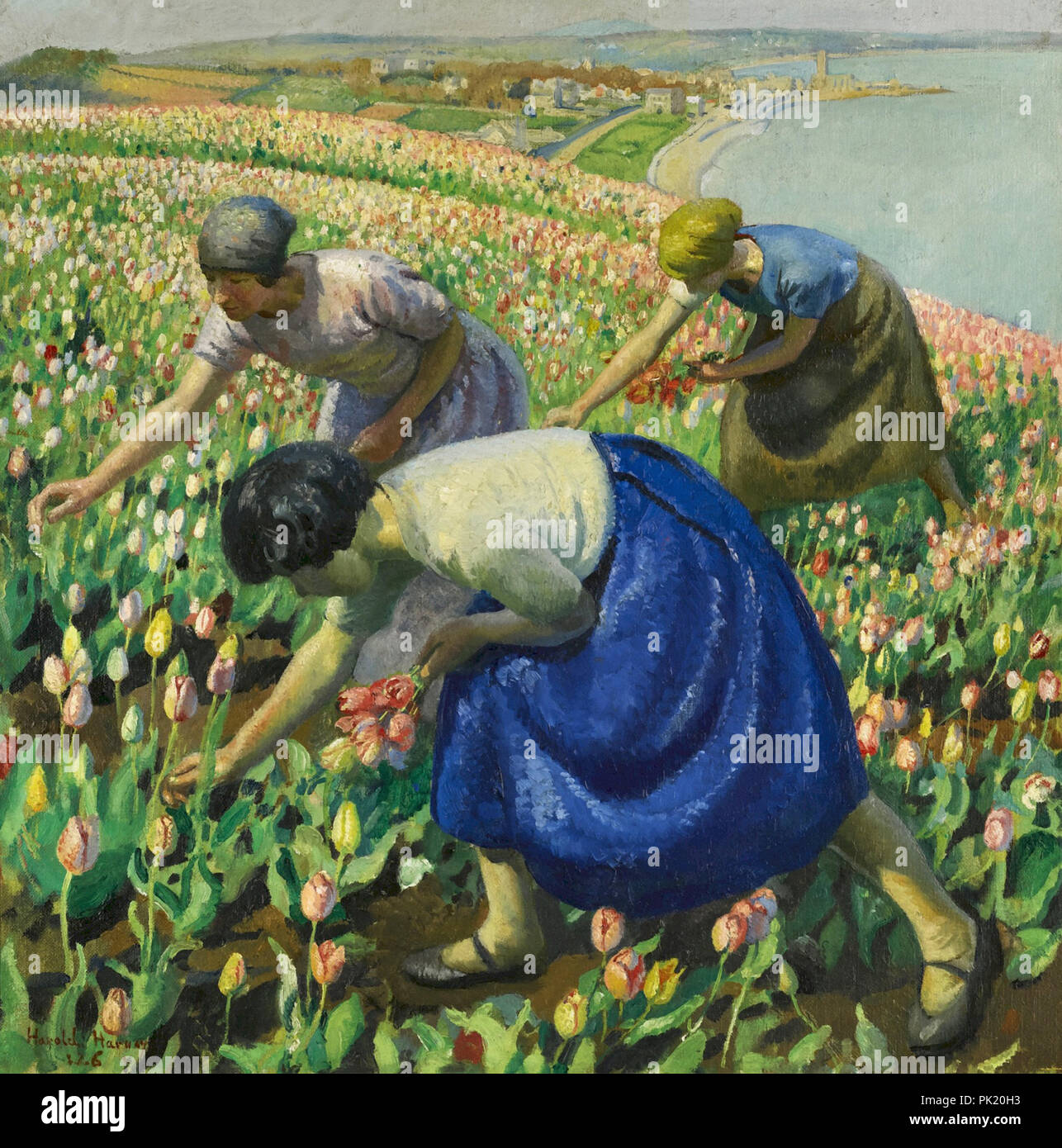 Tulip pickers hi-res stock photography and images - Alamy