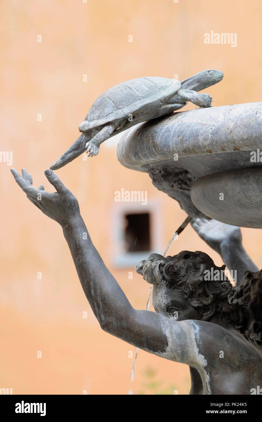 Roman tortoise hi-res stock photography and images - Alamy