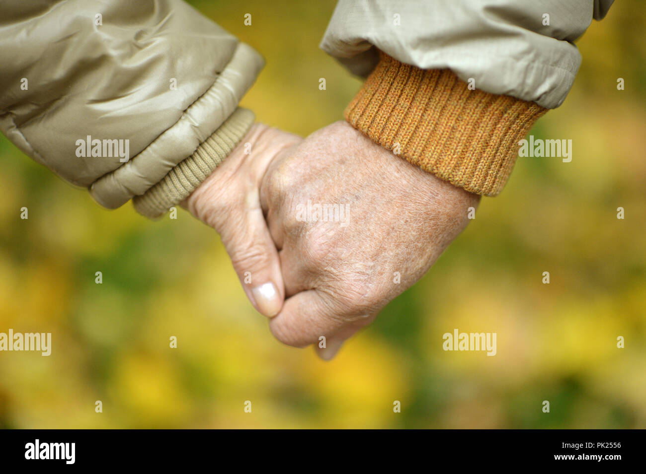 elderly couple holding hands in beautiful park Stock Photo - Alamy