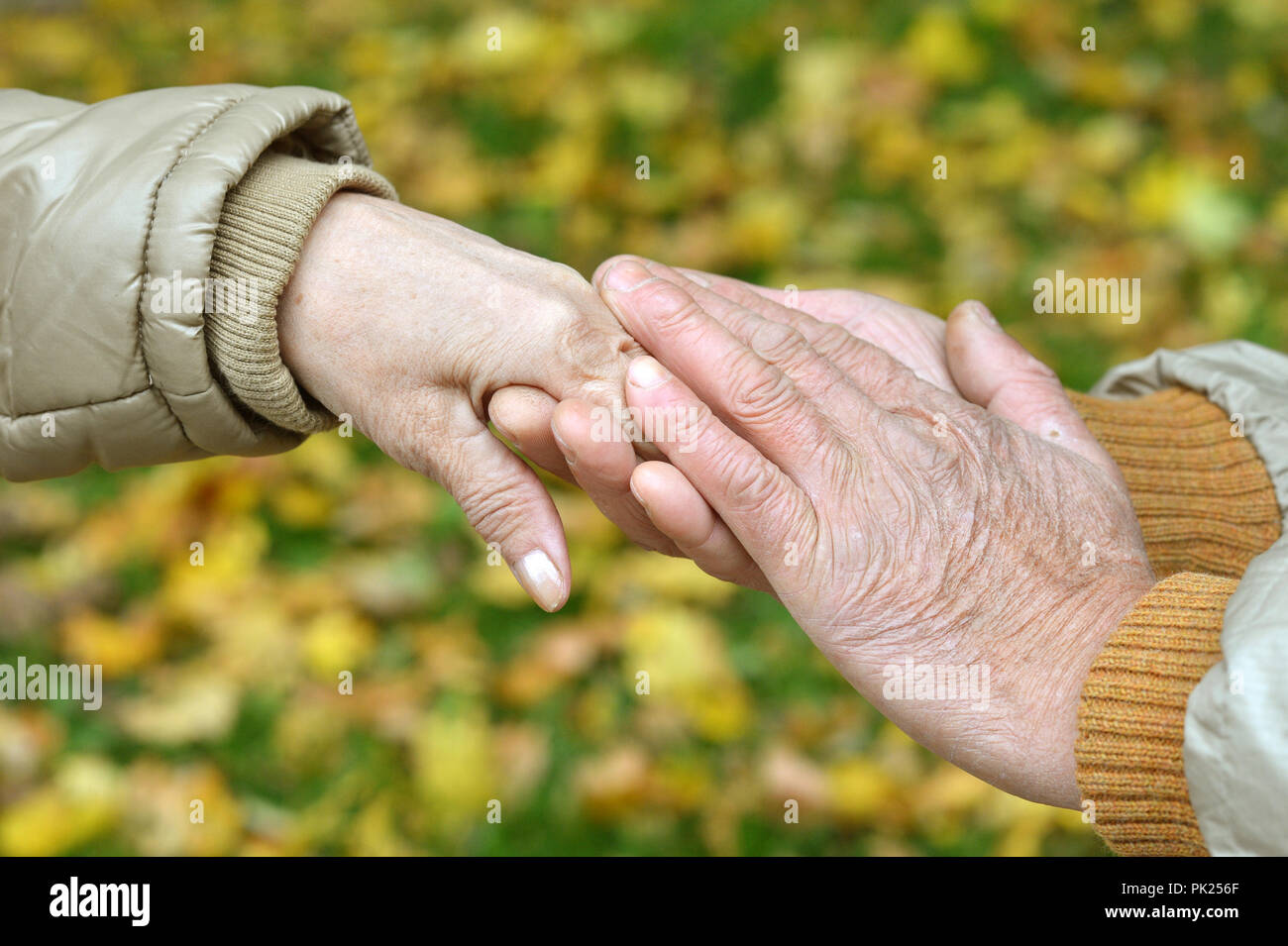 elderly couple holding hands in beautiful park Stock Photo - Alamy