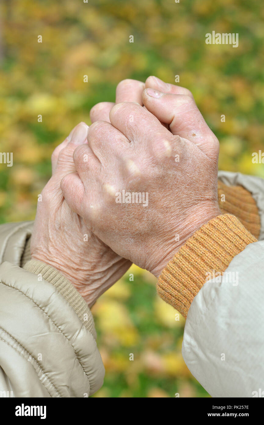 elderly couple holding hands in beautiful park Stock Photo - Alamy