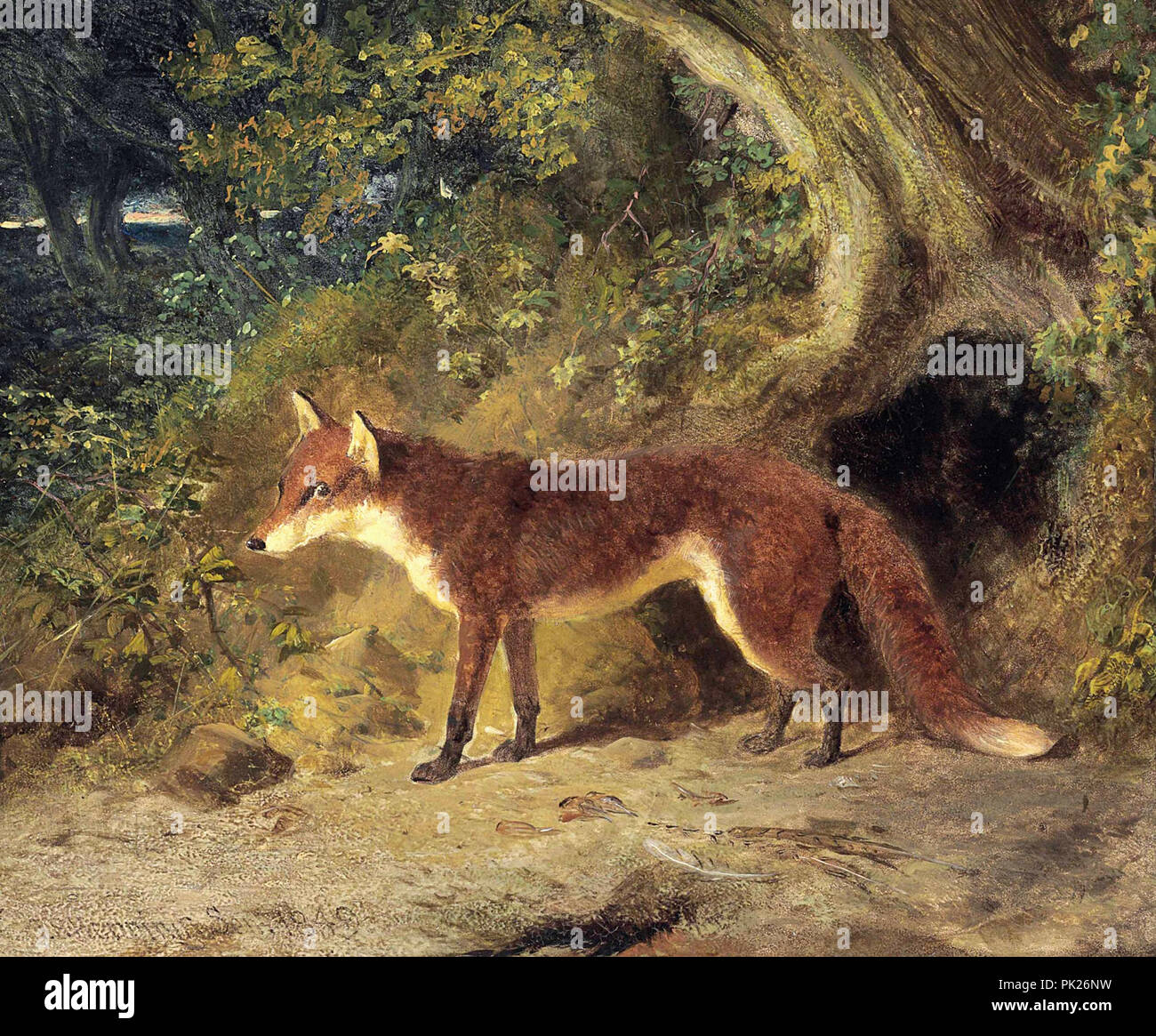 Frederick fox hi-res stock photography and images - Alamy
