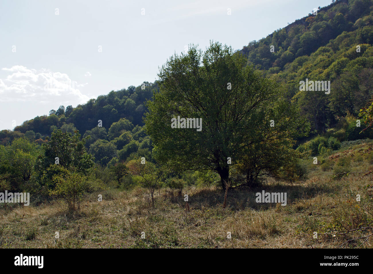 Amazing Landscape near Glozhene Monastery, Stara Planina Mountain ...