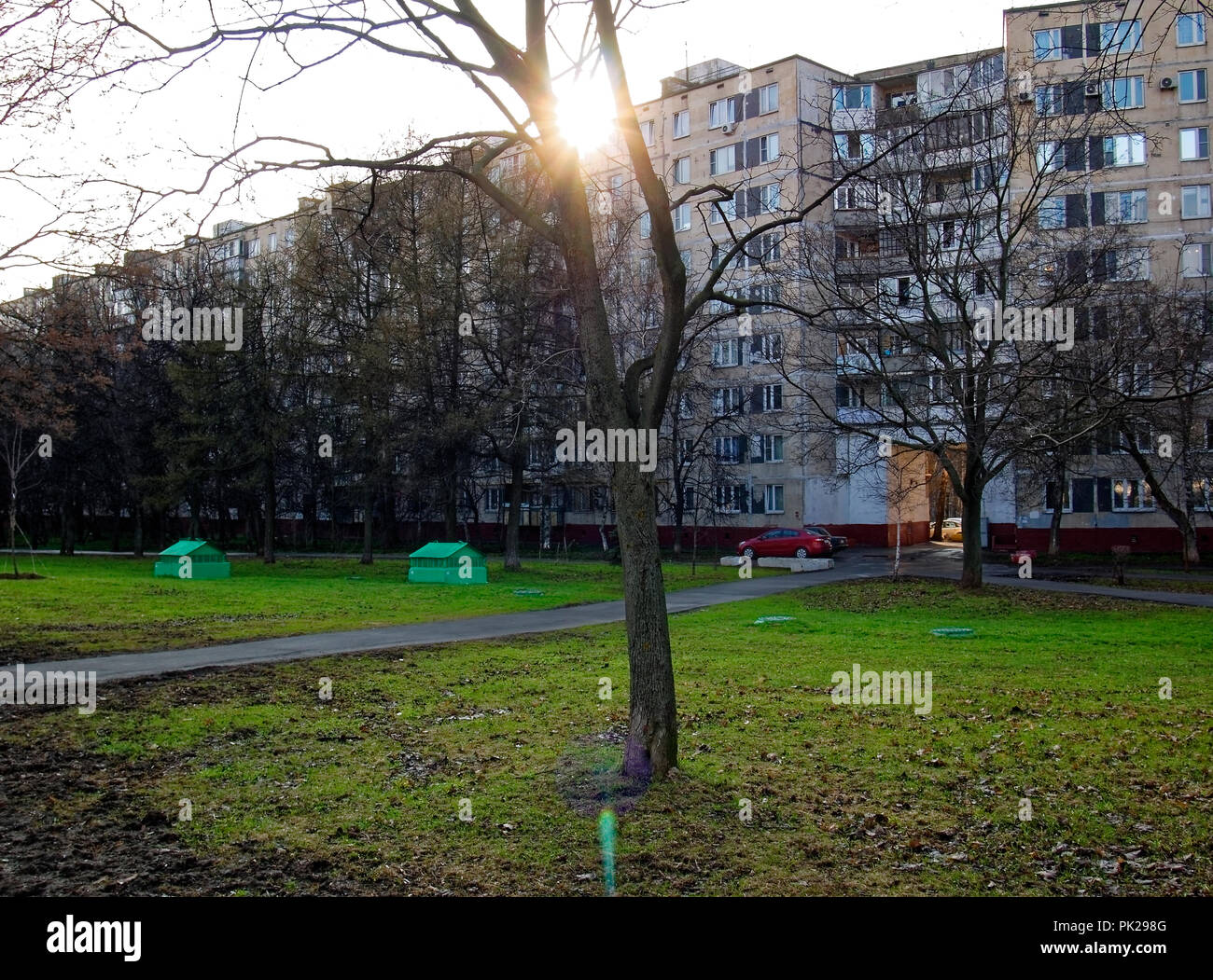 light of the sun through the tree branches in spring, Moscow Stock ...