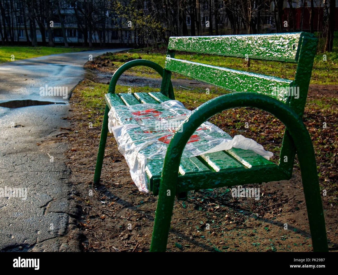 wooden bench after rain in the Park, Moscow Stock Photo - Alamy