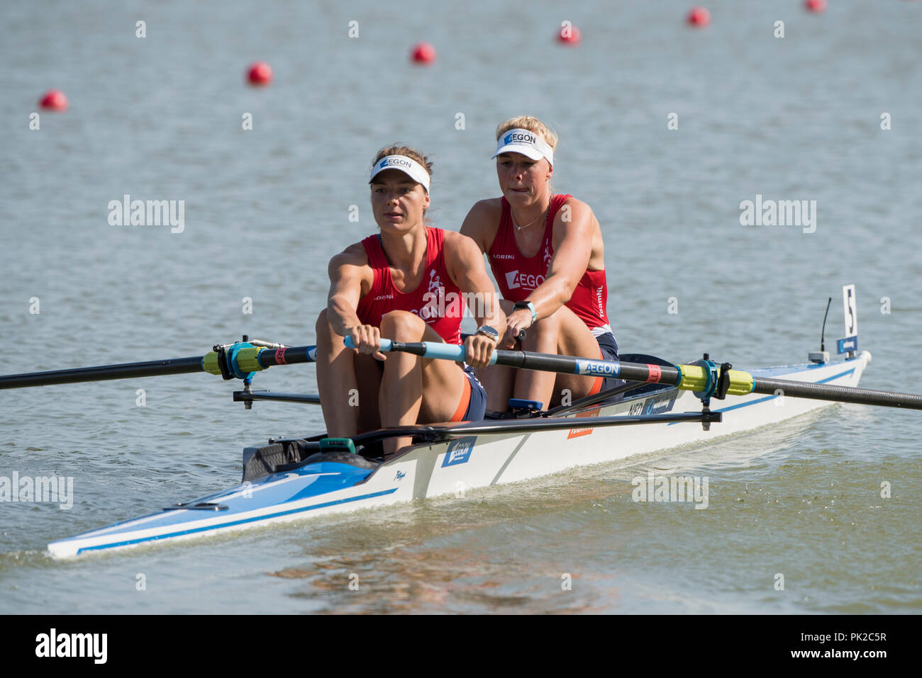 Vossen hi-res stock photography and images - Alamy