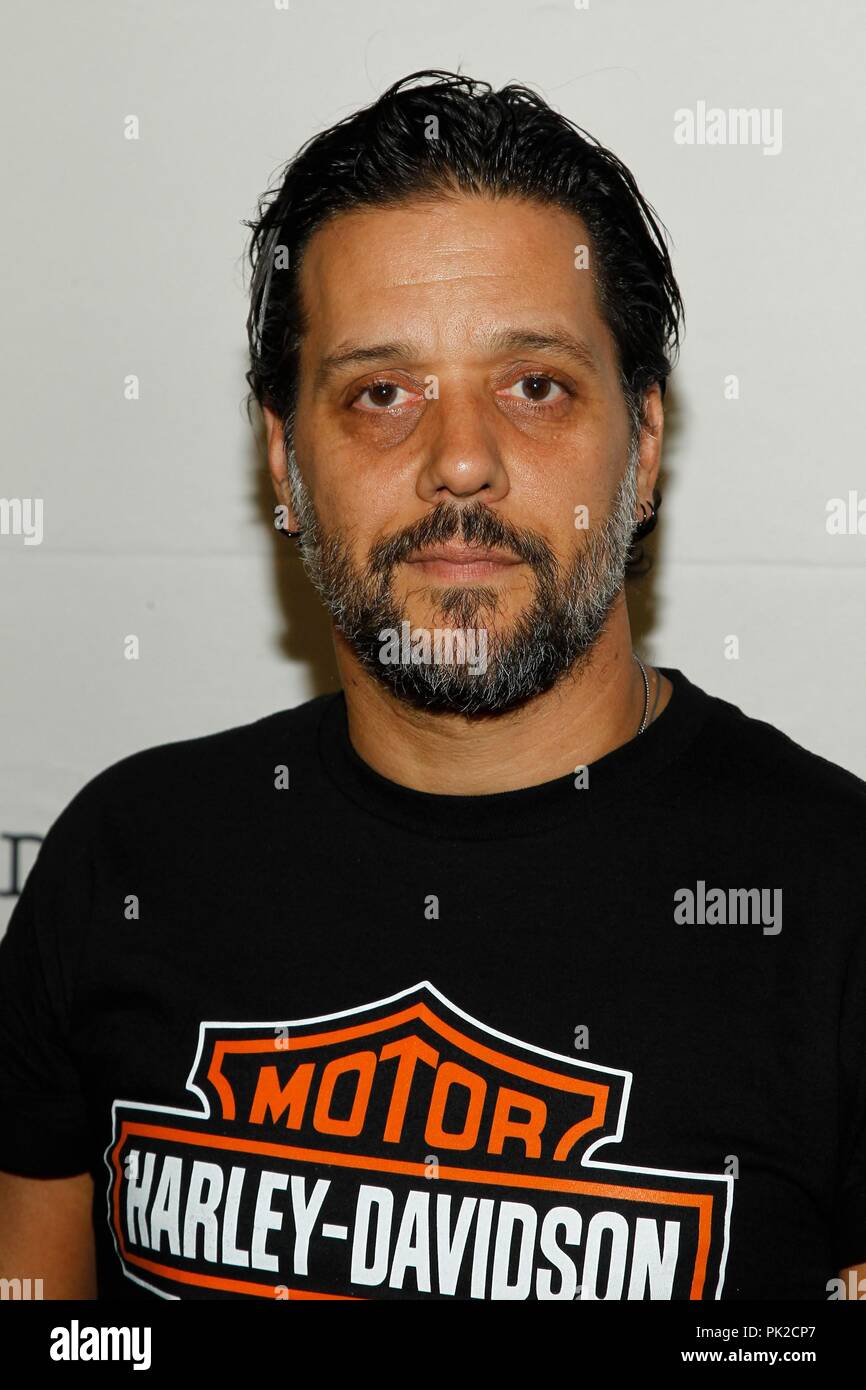 Strombo hi-res stock photography and images - Alamy