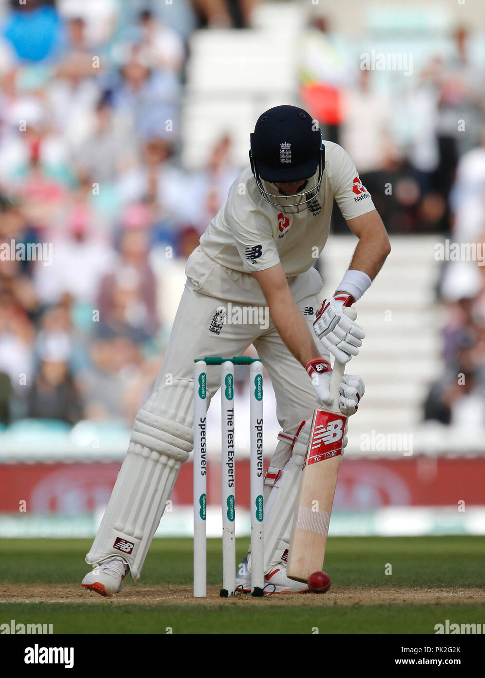 Dead cricket hi-res stock photography and images - Alamy