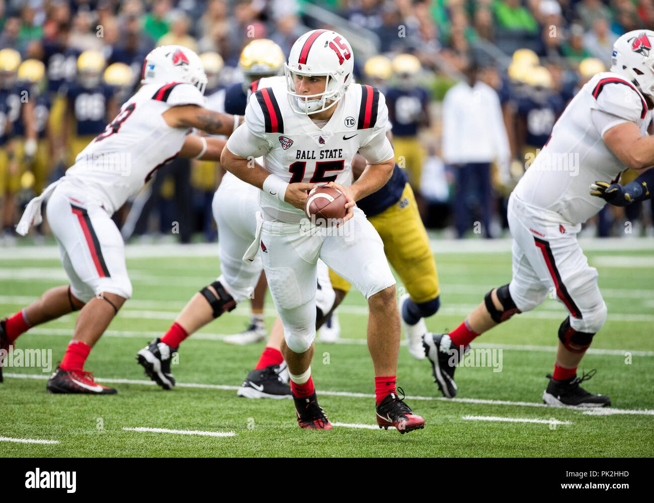 1768 2018 库存照片 hi-res stock photography and images - Alamy