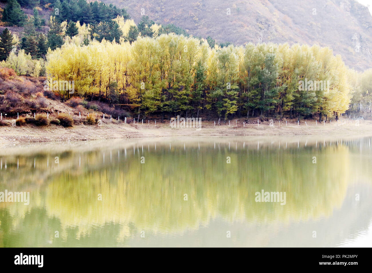 Bashang grassland hebei province china hi-res stock photography and ...