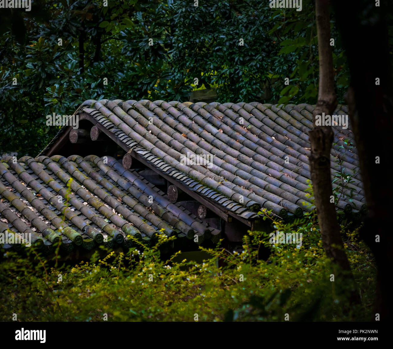 Banshan hi-res stock photography and images - Alamy