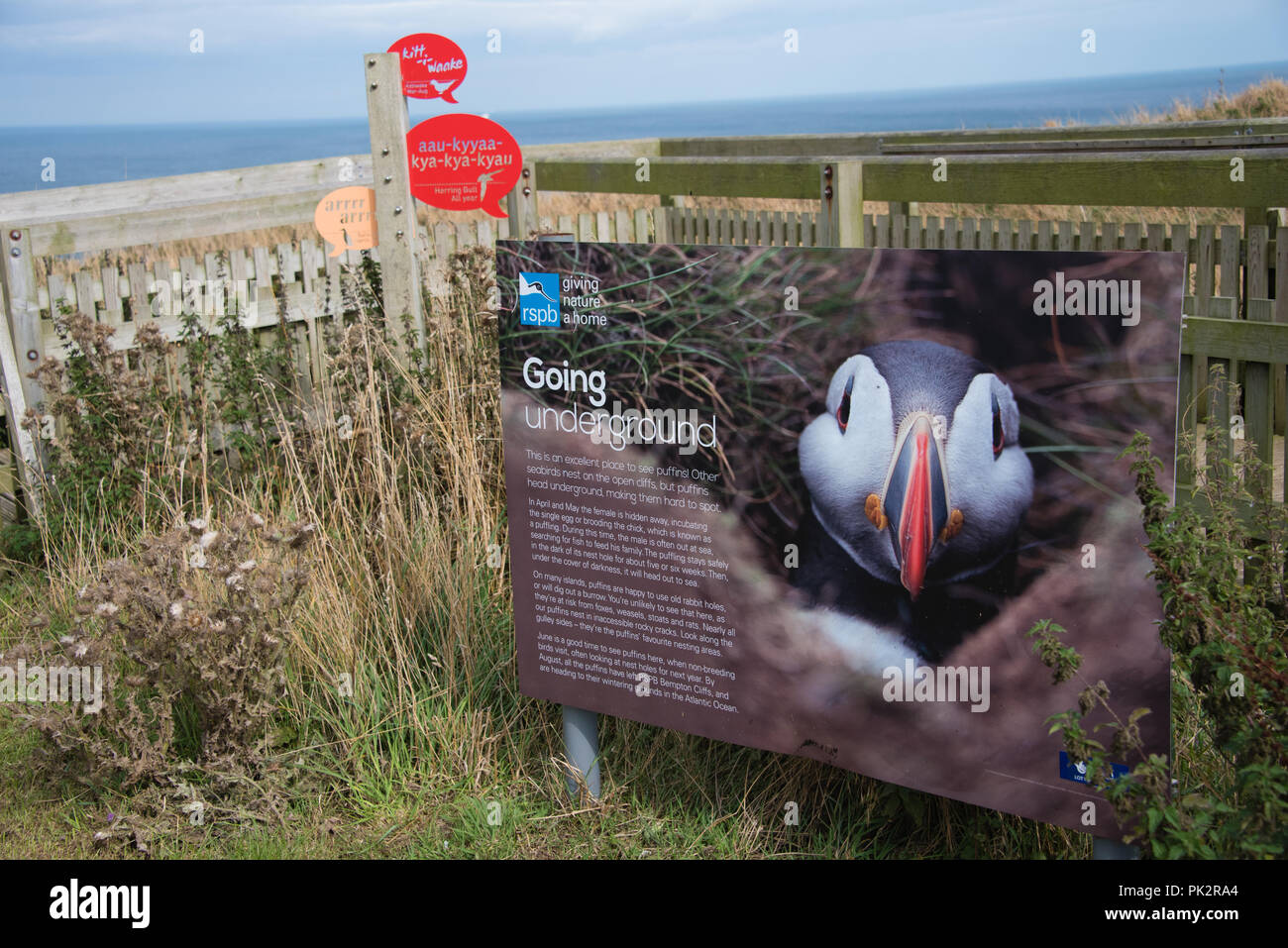 Information poster rspb hi-res stock photography and images - Alamy