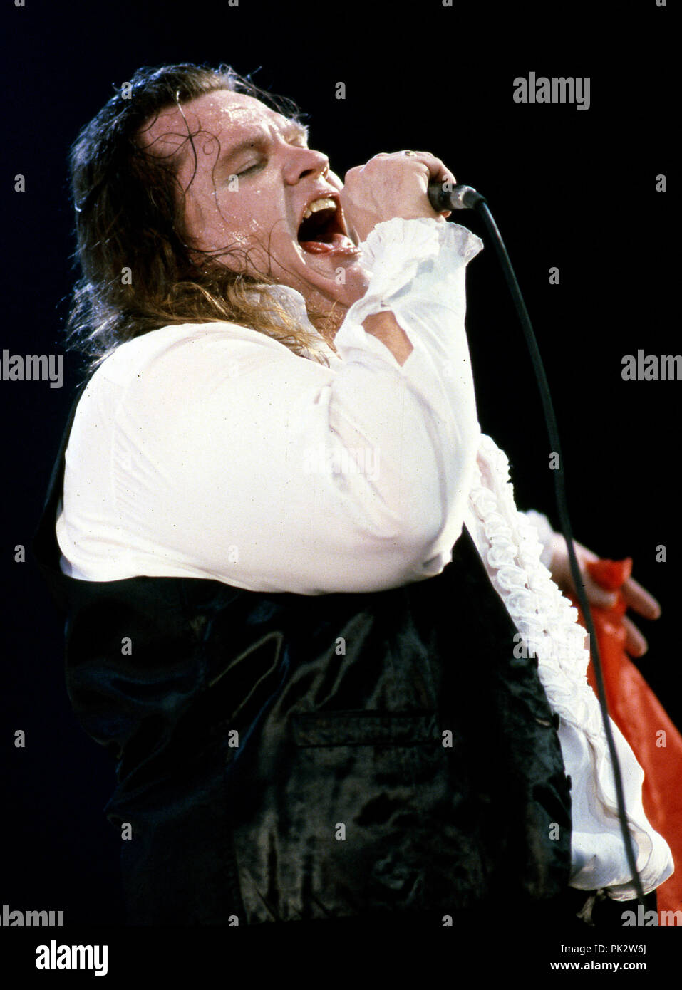 Meat loaf singer 1981 hi-res stock photography and images - Alamy