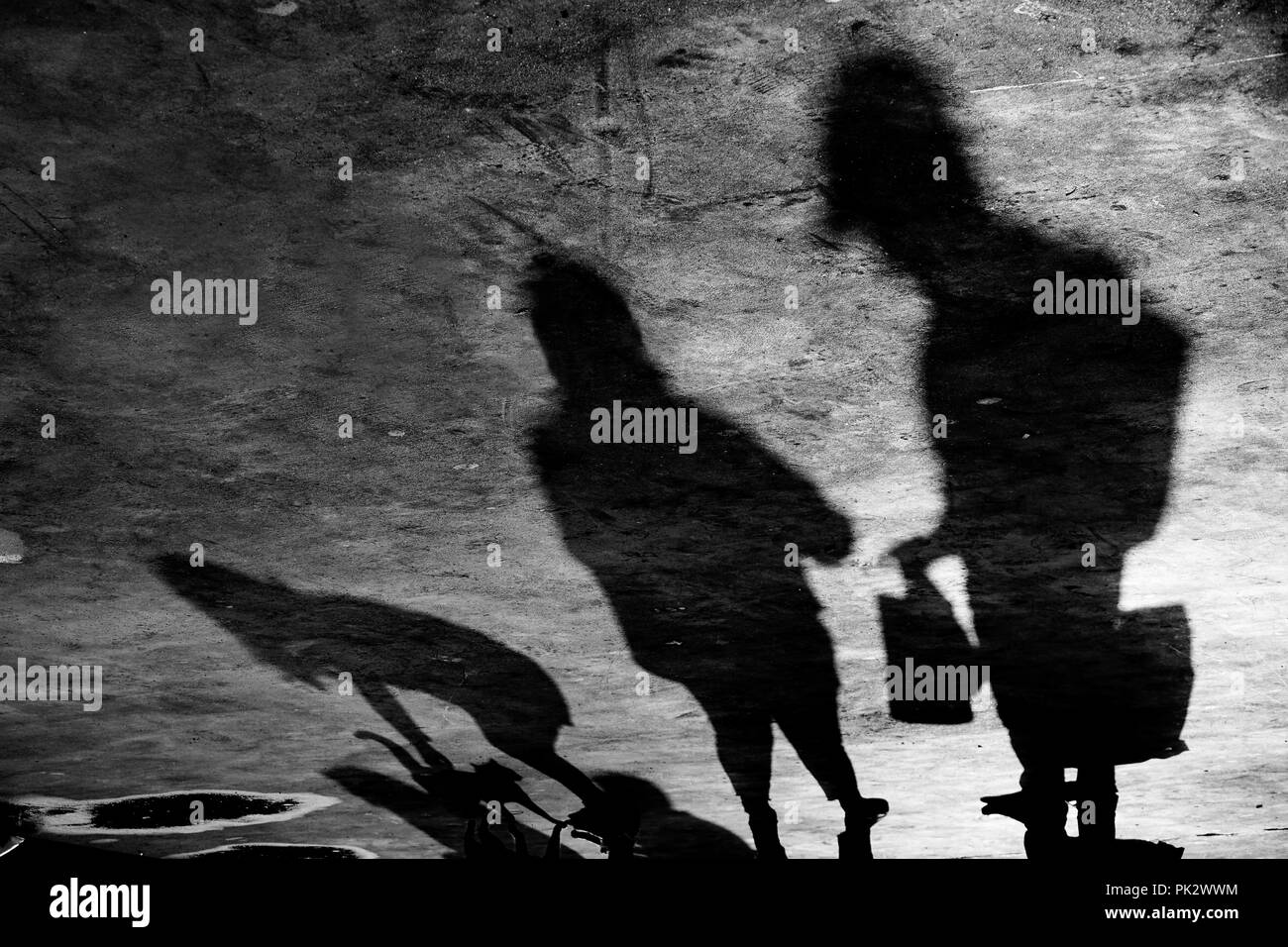 Shadows of A Family with Cat Stock Photo - Alamy