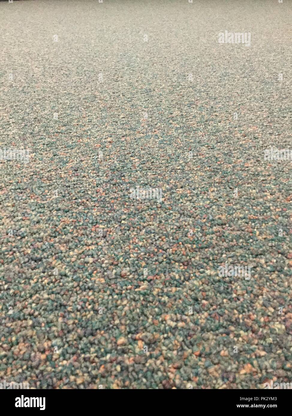 Interior carpet looking across carpet from very low angle Stock Photo ...