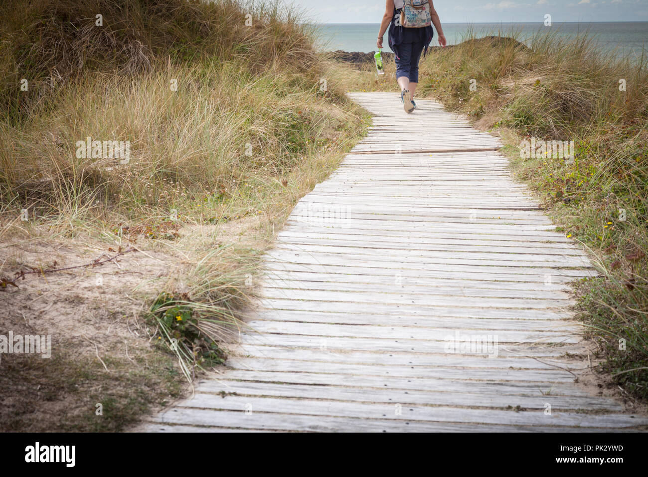 Woman walking on a boardwalk on a sandy coast, Anglesey, Wales UK Stock ...