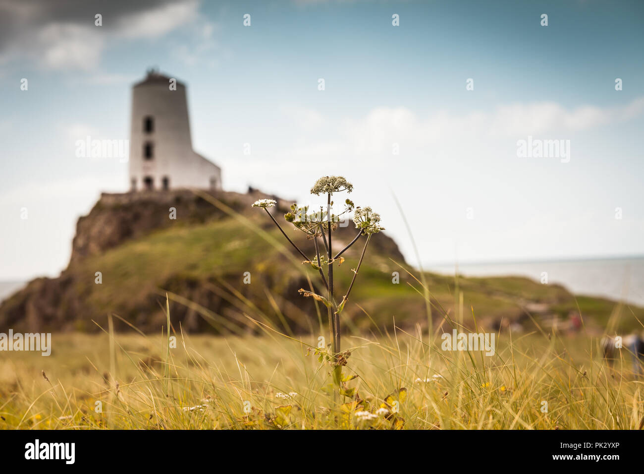 Twr mawr anglesey hi-res stock photography and images - Alamy
