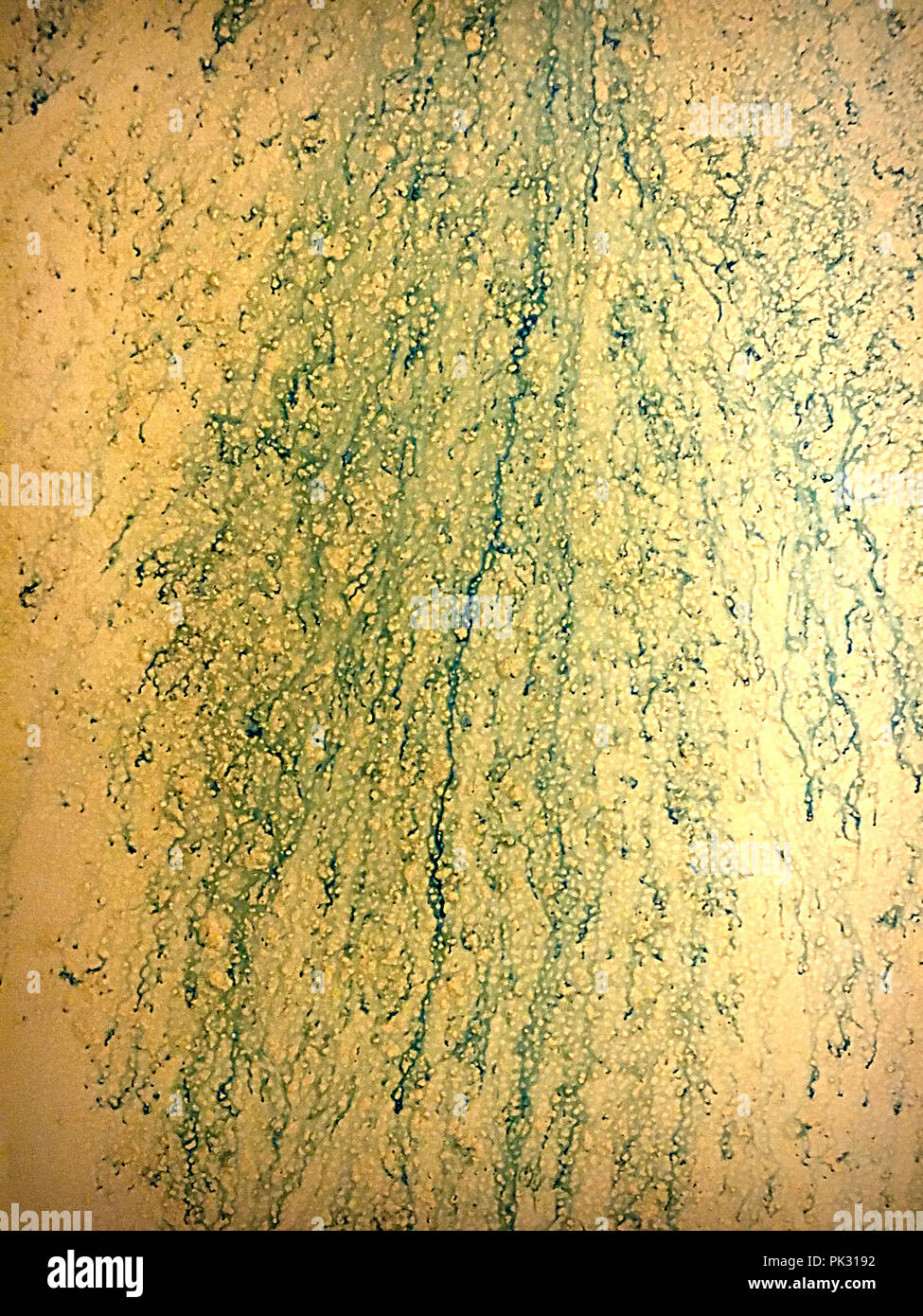 Blue on yellow background abstract Stock Photo - Alamy