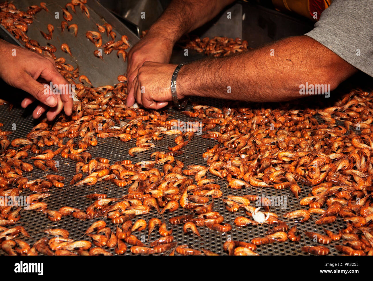 Shellfish Beam Trawler High Resolution Stock Photography and Images - Alamy