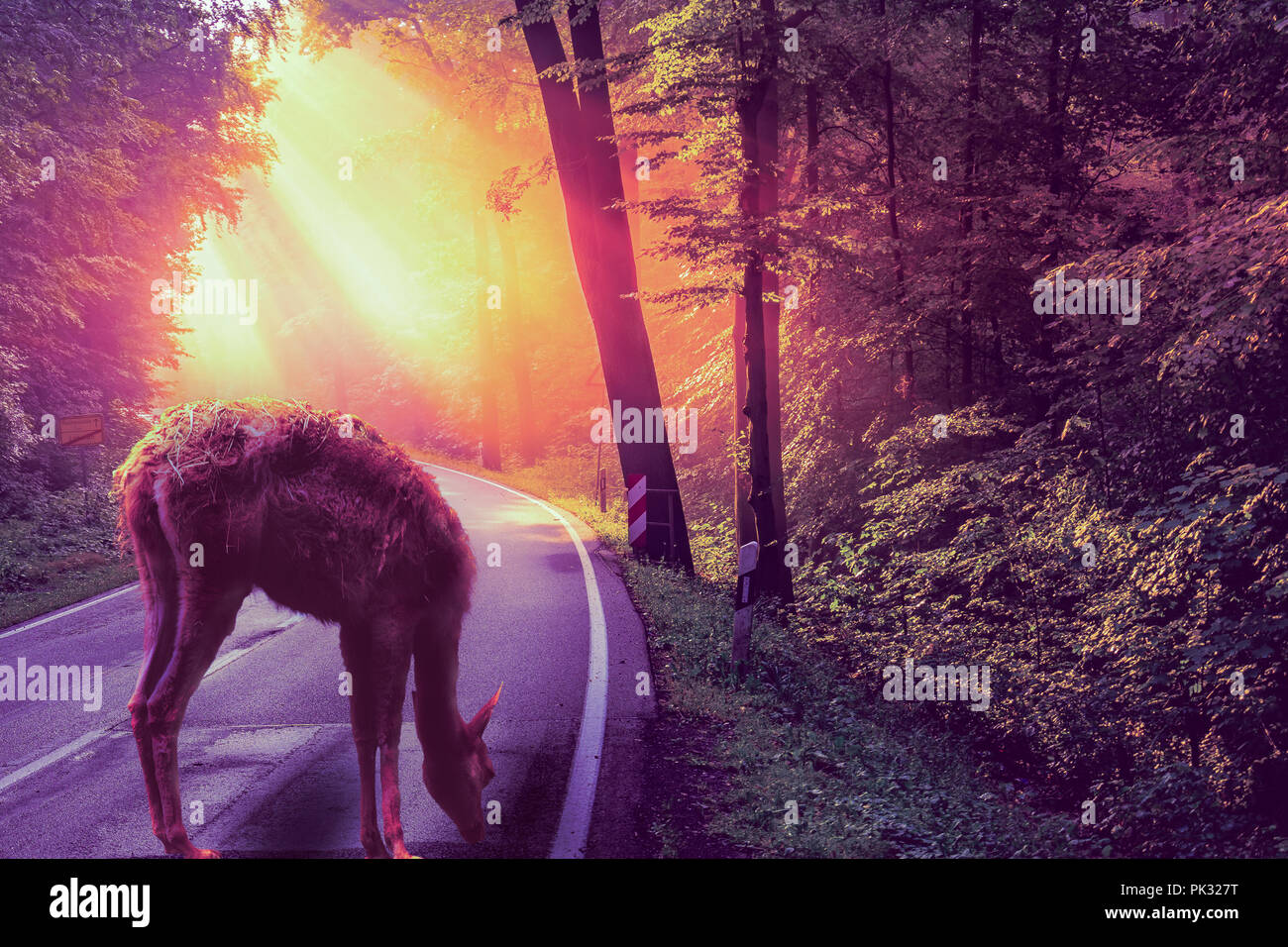 Saxon switzerland animals hi-res stock photography and images - Alamy