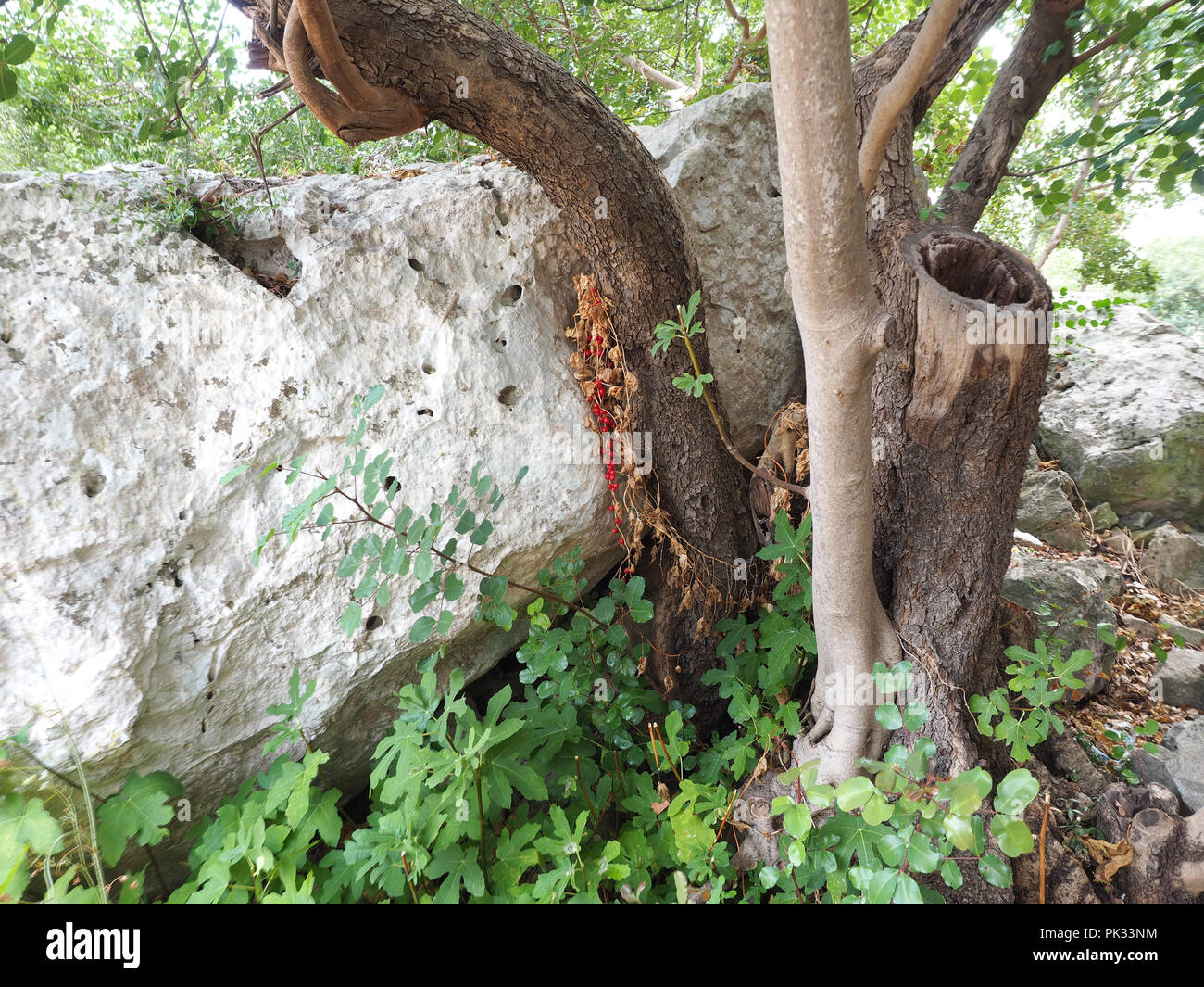 Burrows cave hi-res stock photography and images - Alamy