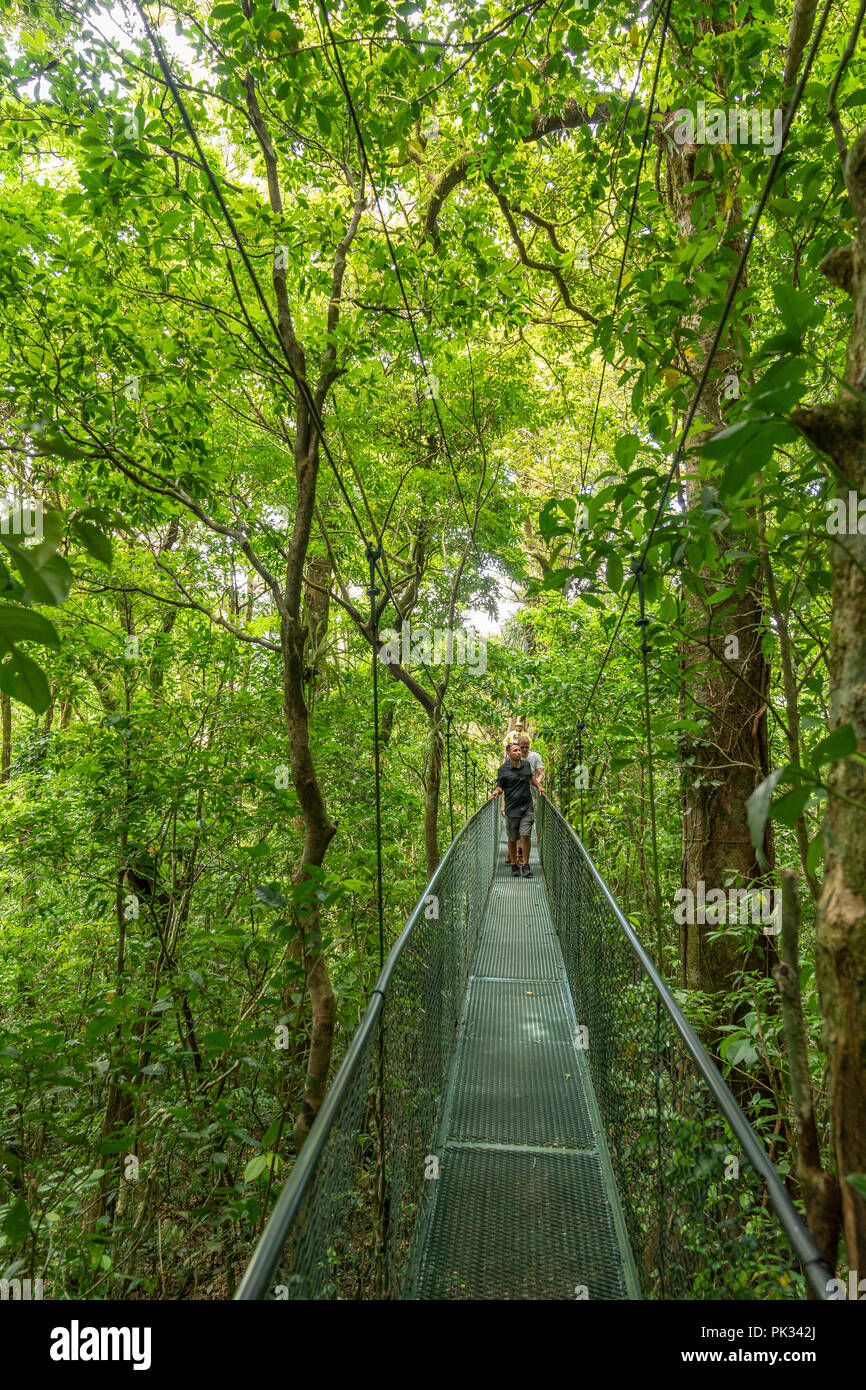 Monteverde Aventura Hanging Bridges, Selvatura Park, Costa Rica Stock ...